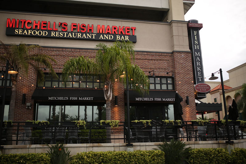 View More: http://alyssamarieart.pass.us/songbird - Candace ...